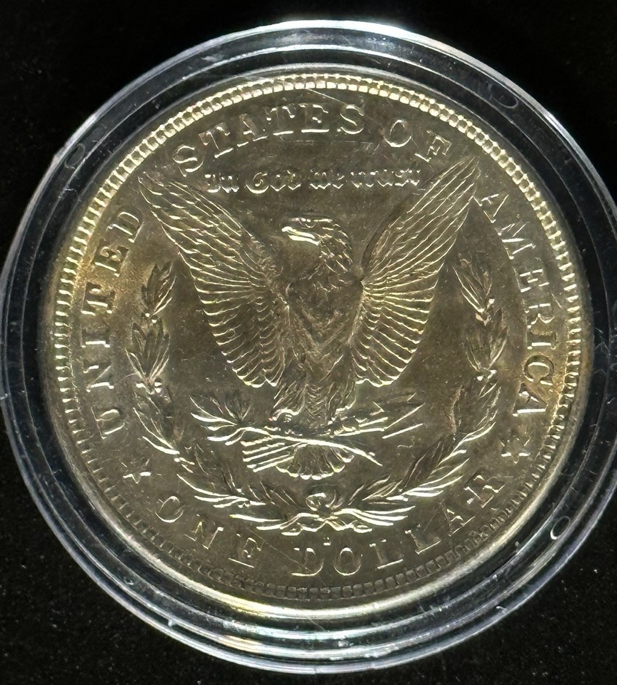 The Only Denver Mint Morgan Silver $1 Dollar - 1921-D in Wood Display ...