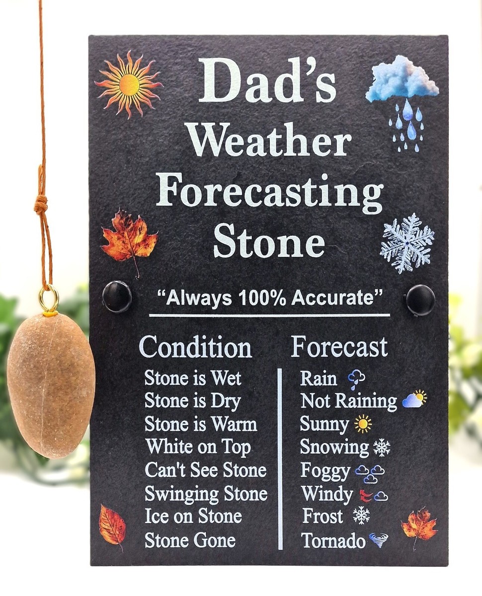 Weather Stone Memes Today Weather Forecast Meme | TikTok