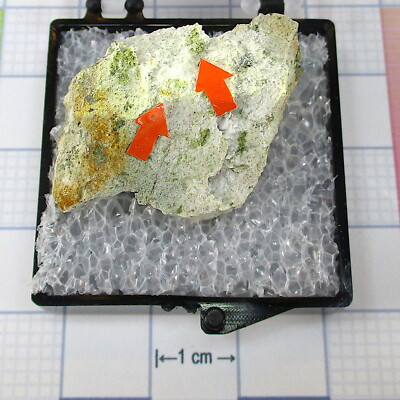 17684 TN Native Gold Other Species Olinghouse Mining District Pah Rah ...