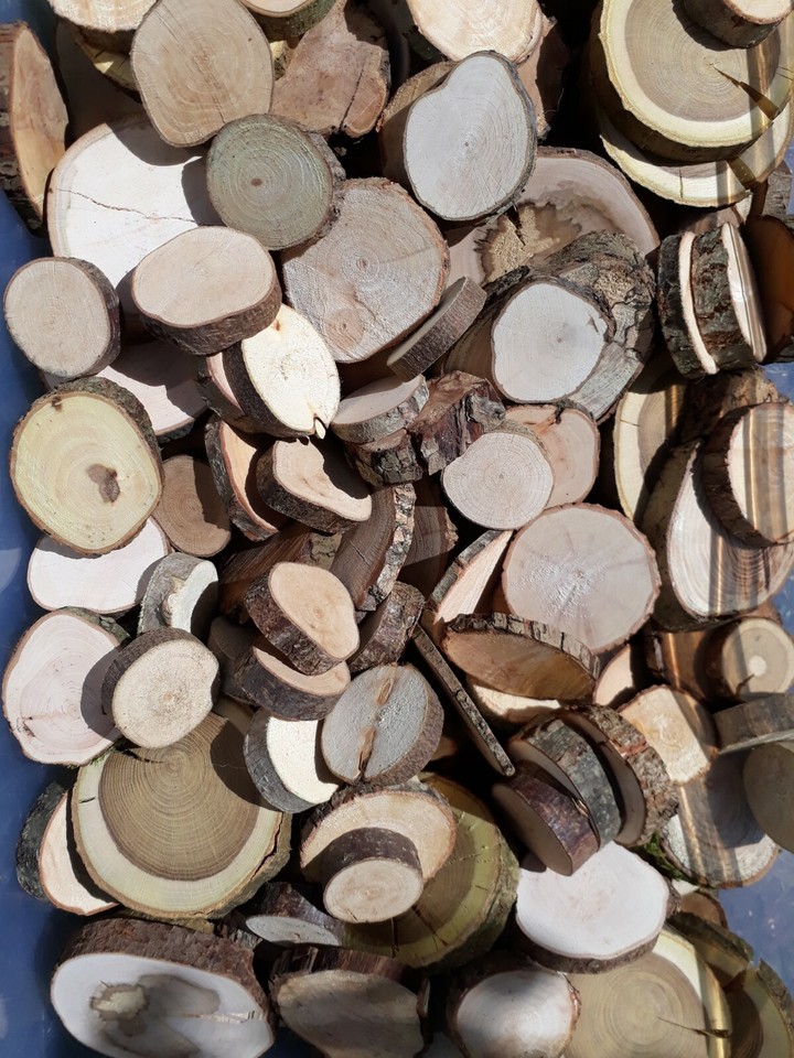 Decorative fireplace display logs Wood Slices Rustic decor Wall craft ...