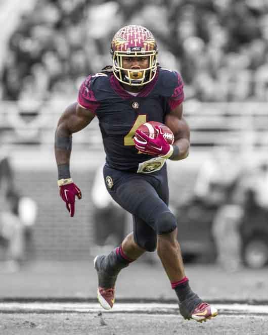Florida State Seminoles DALVIN COOK Glossy 8x10 Photo Spotlight Poster ...