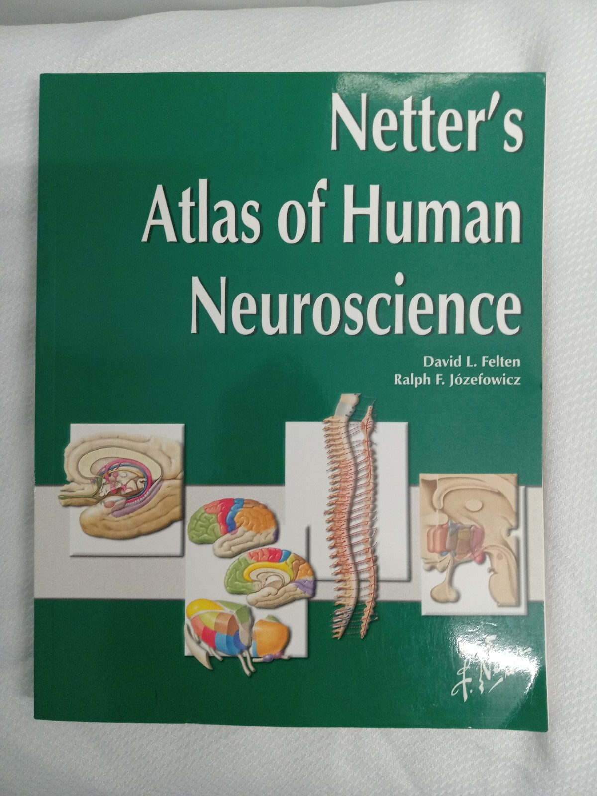 Netter Basic Science: Netter's Atlas of Human Neuroscience by David L ...