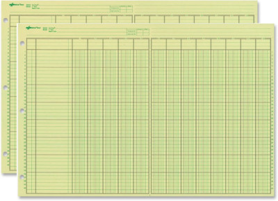 2 Pack - NATIONAL Analysis Pad, 13 Column, Green Paper, 11 X 16.375 ...