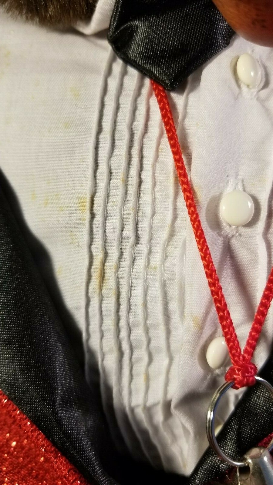 1994 ROBERT RAIKES CIRCUS COLLECTION RINGMASTER BEAR Box, Tag ...