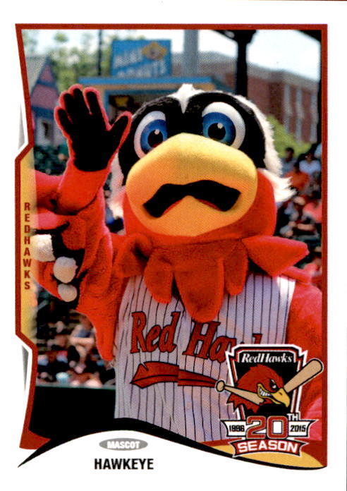 2015 Fargo-Moorhead RedHawks Team Issue #28 Hawkeye MASCOT - NM ...