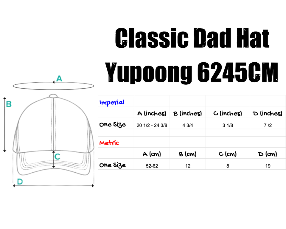 ICE Hat Immigration Customs Enforcement Dad Hat Pro America Trump Vance ...