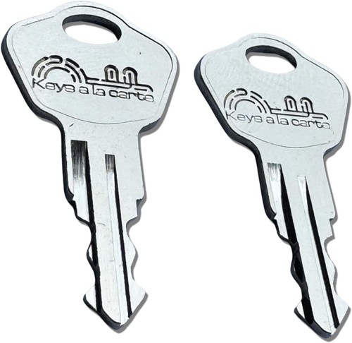 Pair of Replacement Keys for Sentry Safe Lock Boxes, Fire Chests, Fire ...