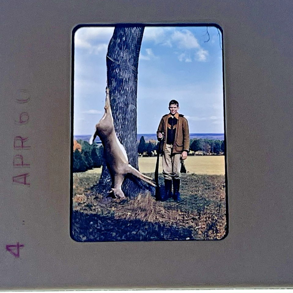 1960 Young Hunter Photo Slide Vintage Midcentury Deer Hunting Kill ...