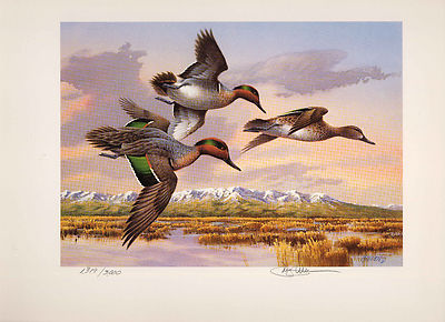 IDAHO #2 1988 STATE DUCK STAMP PRINT GREEN WINGED TEAL by Jim Killen | eBay