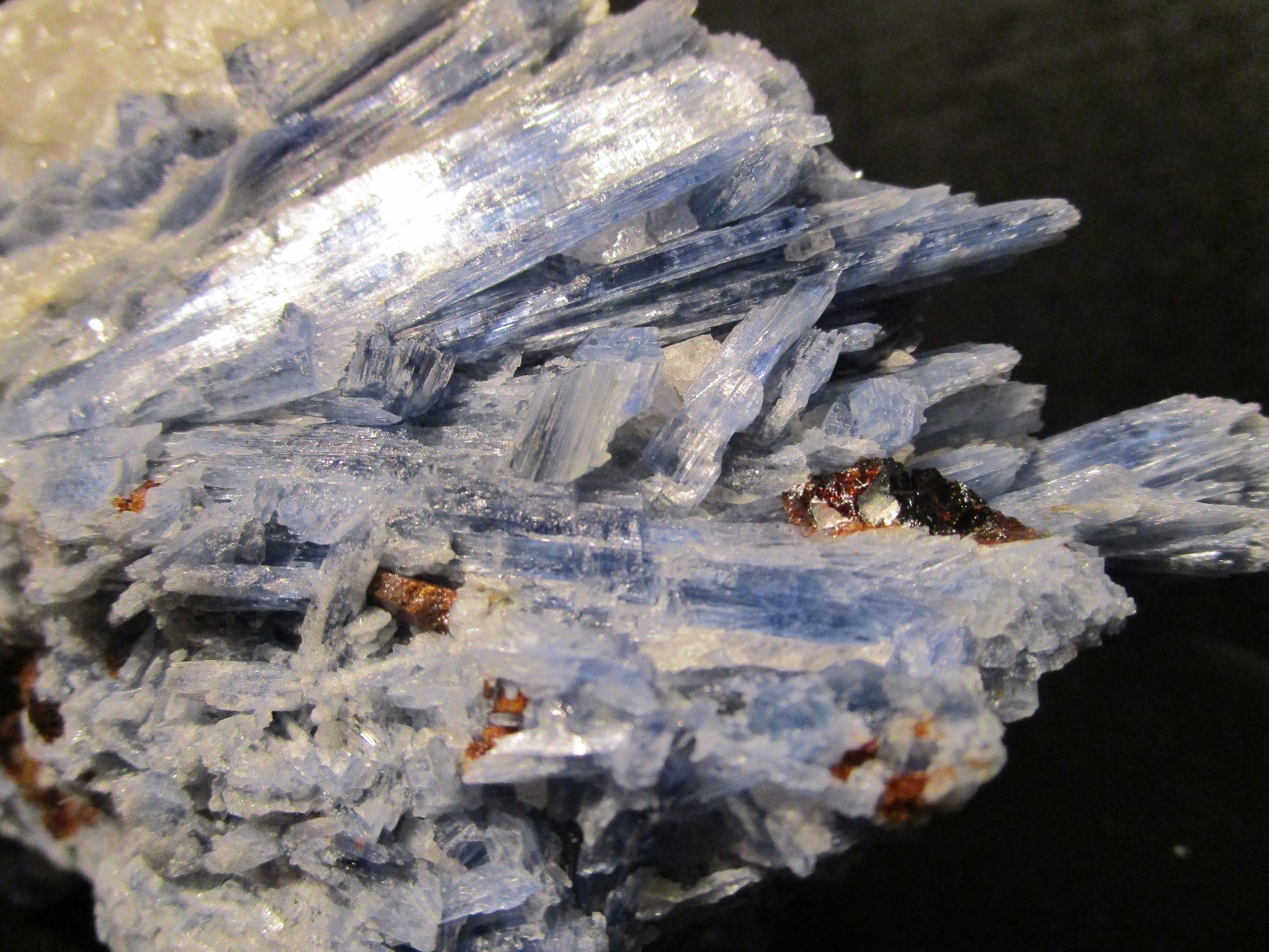 Kyanite, Blue Bladed Crystals, Touch of Staurolite, Quartz Matrix ...