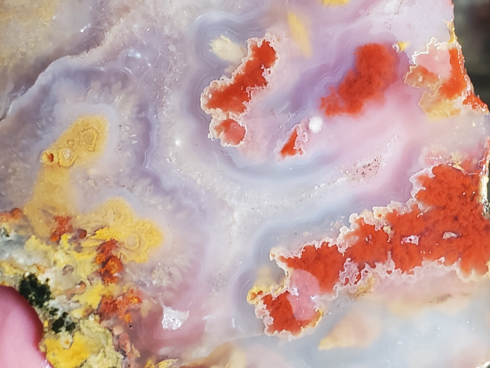 Woodward Ranch Needle Peak Rare Red Plume Pom-Pom Agate Rough Alpine ...