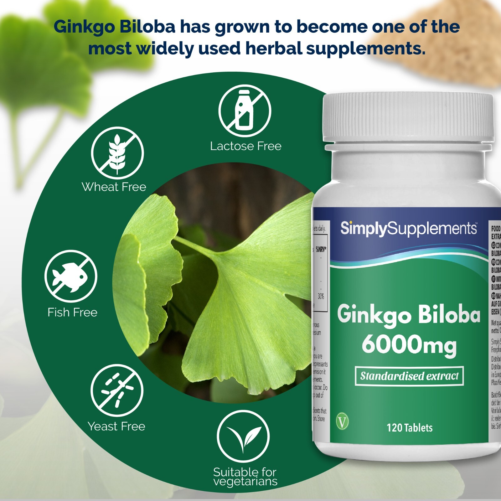 Ginkgo Biloba 6000mg * 120 Tablets * New & Improved Formula | eBay