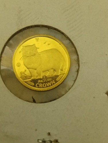 1989 Isle Of Man 1/25th GOLD "CAT" Coin "Persian" | eBay