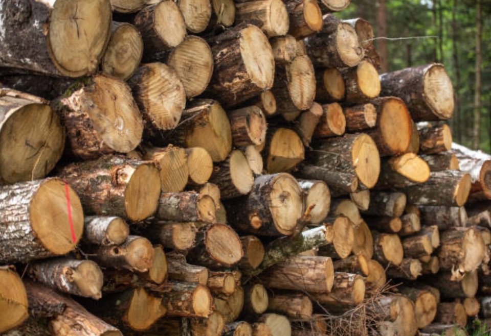 Premium firewood 🪵 sold in bulk | eBay
