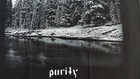 HATE FOREST - Purity (T-Shirt / Longsleeve) Original Cover | eBay