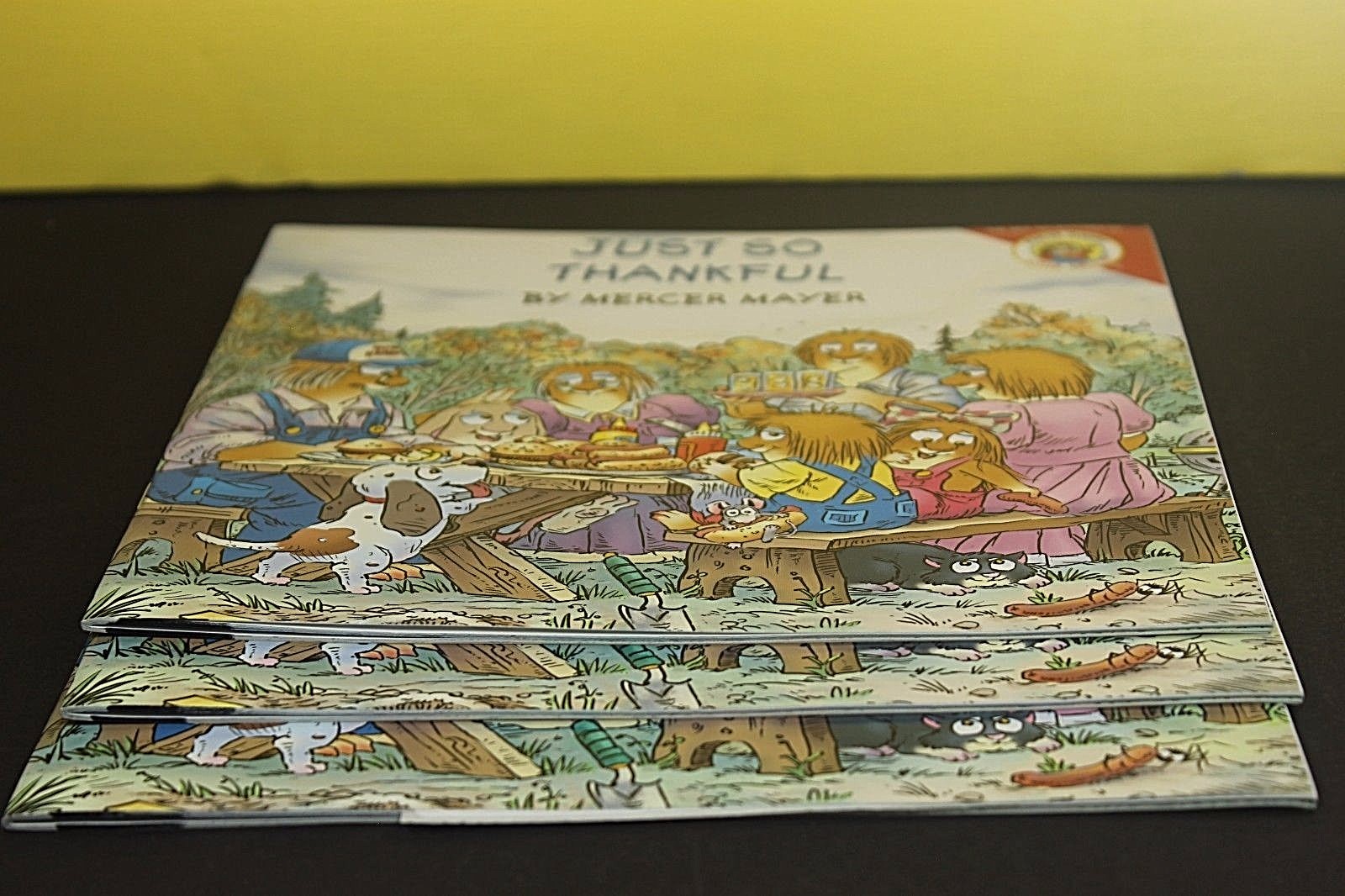 Little Critter Ser.: Just So Thankful by Mercer Mayer (2006, Trade ...