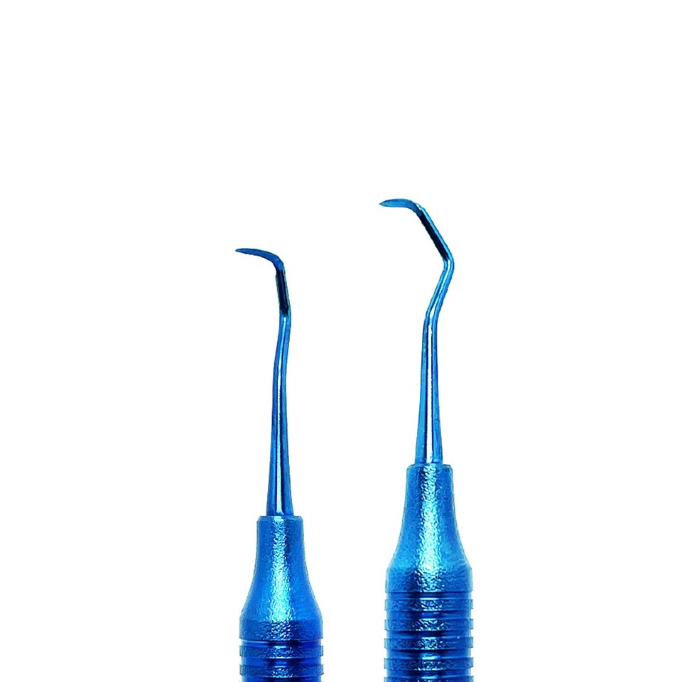 Sickle Scaler 204S Dental Hand Instruments Pro Periodontal Pick Hygiene ...