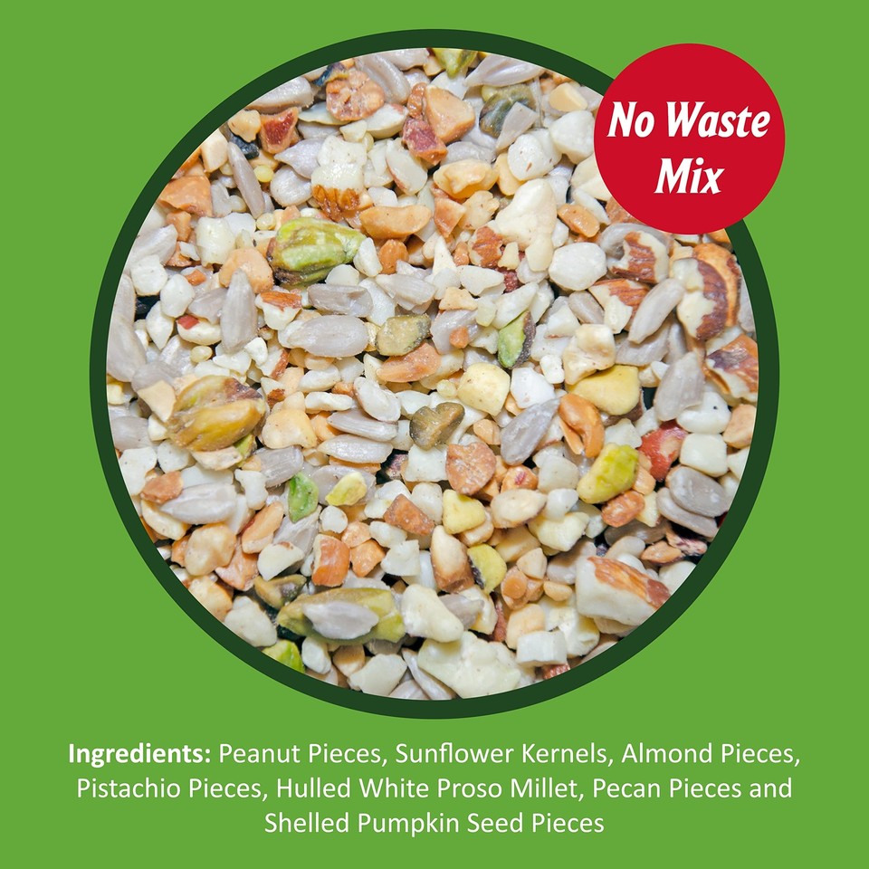Fine Tunes Wild Bird Seed - No Waste Bird Food Mix - Attracts Bluebirds ...