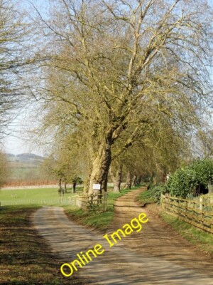 Photo 6x4 Driveway to Catesby House Upper Catesby The road to Lower ...