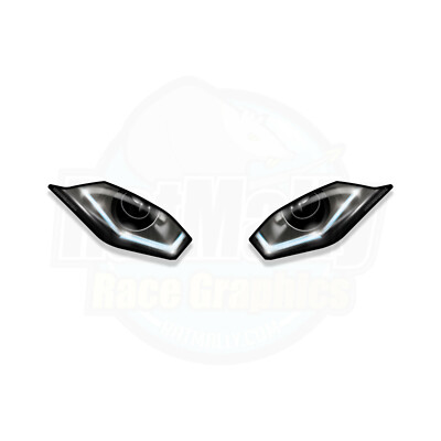 WSBK RACE HEADLIGHT STICKERS - BMW S1000RR 2019 TRACK GRAPHICS ...