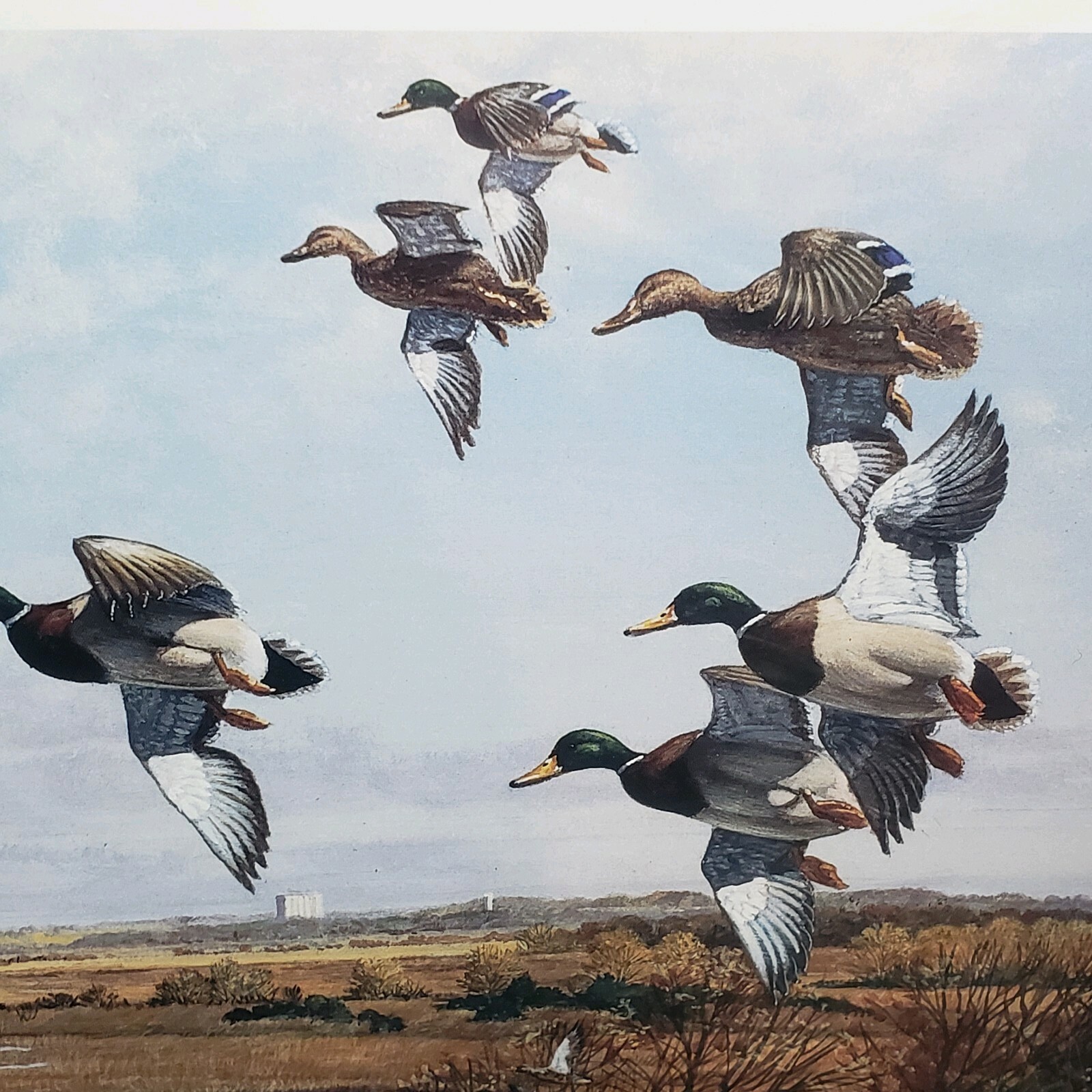 Signed Harold Roe Print "Jamestown Rediscovered" 18-1/2" x 23-1/2" | eBay