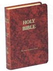 Fireside Study Bible-Nab - Paperback By Fireside Catholic Publishing - VERY GOOD | eBay