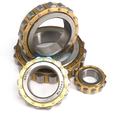 RN204/RN205/RN206/RN307 EM/M Brass+Bearing Steel Cylindrical Roller ...