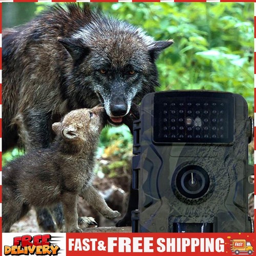 Infrared Night Vision Security Cam Motion Activated Animal Observation ...