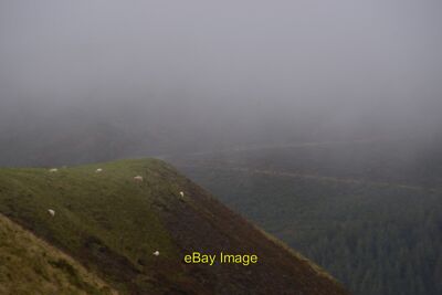 Photo 6x4 Sheep grazing on steep slopes, Bwlch Coch Melinbyrhedyn c2020 ...
