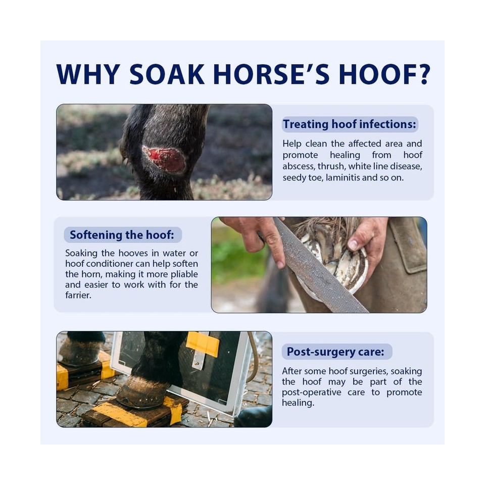 Hoof Soaking Boot for Hoof Problems, White Line Disease, Thrush ...