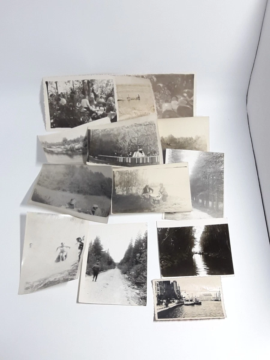 Retro Vintage Nature Photography