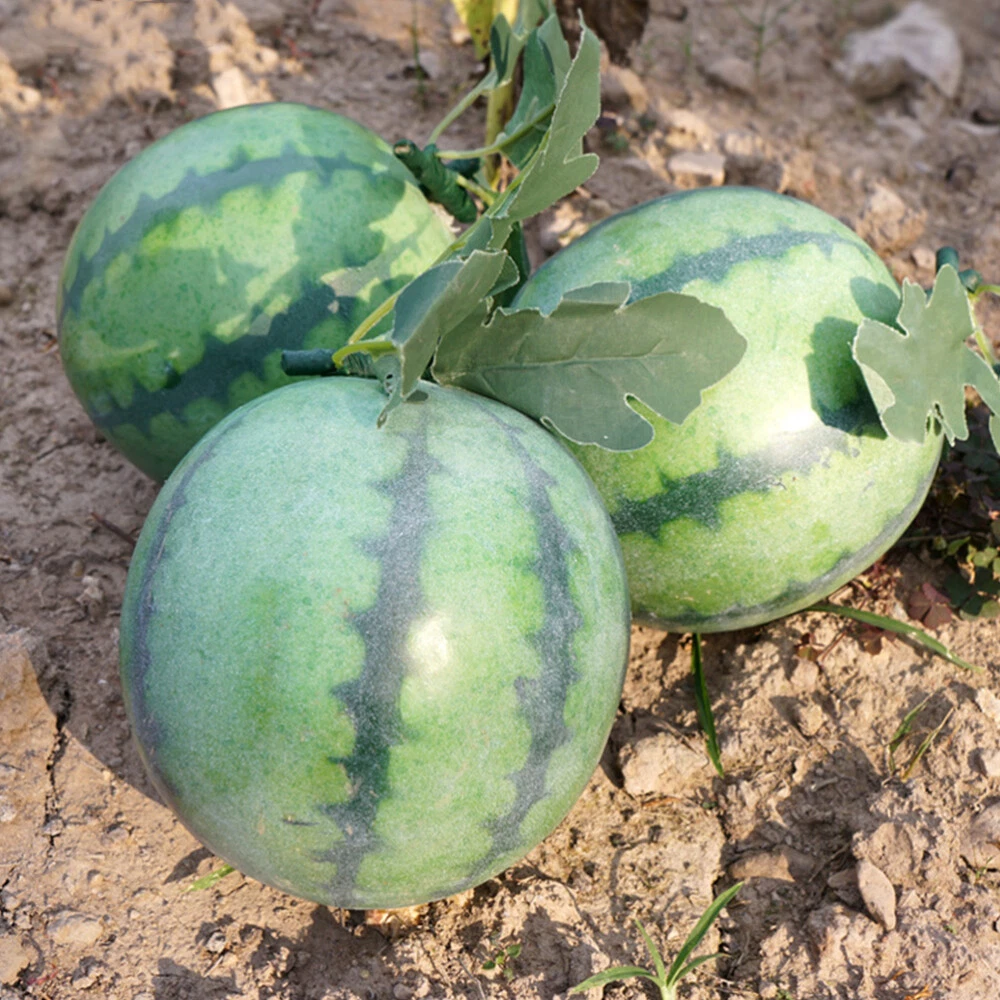 Artificial Watermelon Decorations
