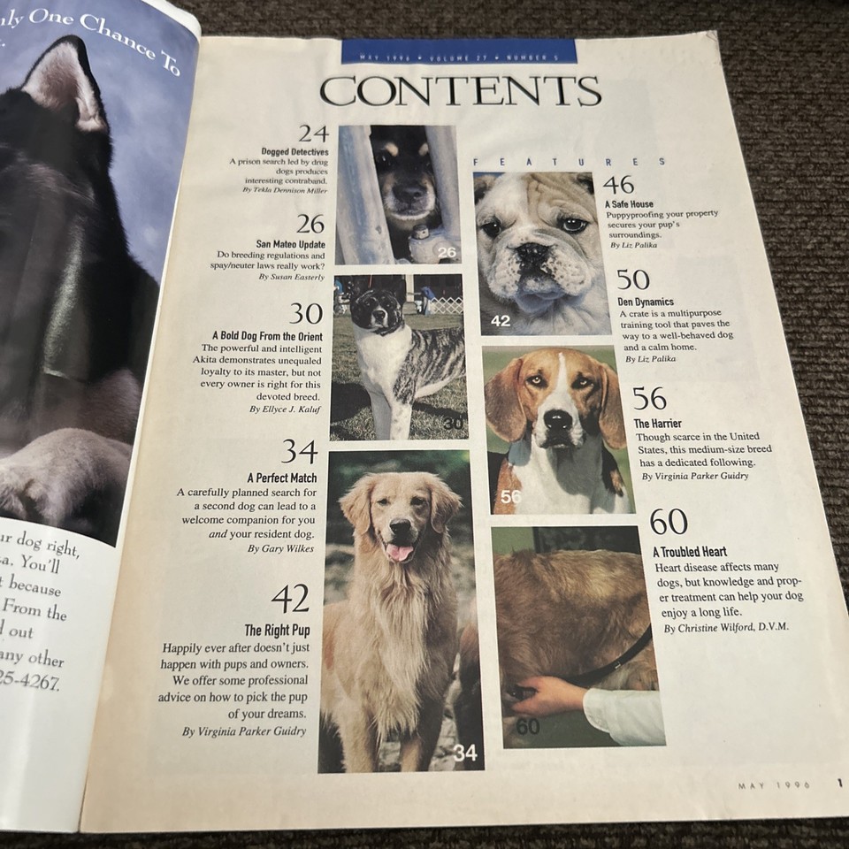 Dog Fancy Magazine May 1996 -The Akita & More | eBay