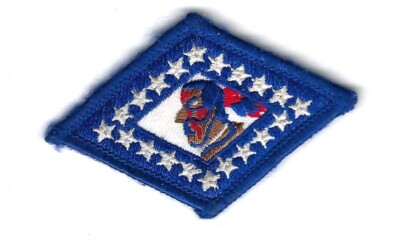 PATCH USAF 154TH TRAINING SQ TRS ARKANSAS AIR GUARD 2" X 3" AS-1 | eBay