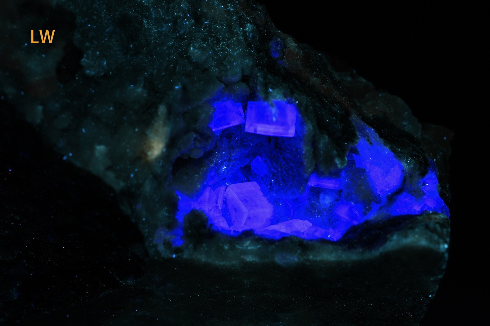 #106 Scheelite, Fluorite from Xianghualing Mine, Hunan, China | eBay