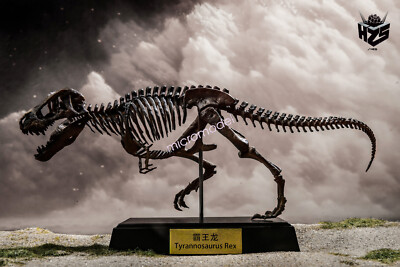 Tyrannosaurus Dinosaur Skeleton Statue Figure Model Collectible Painted ...