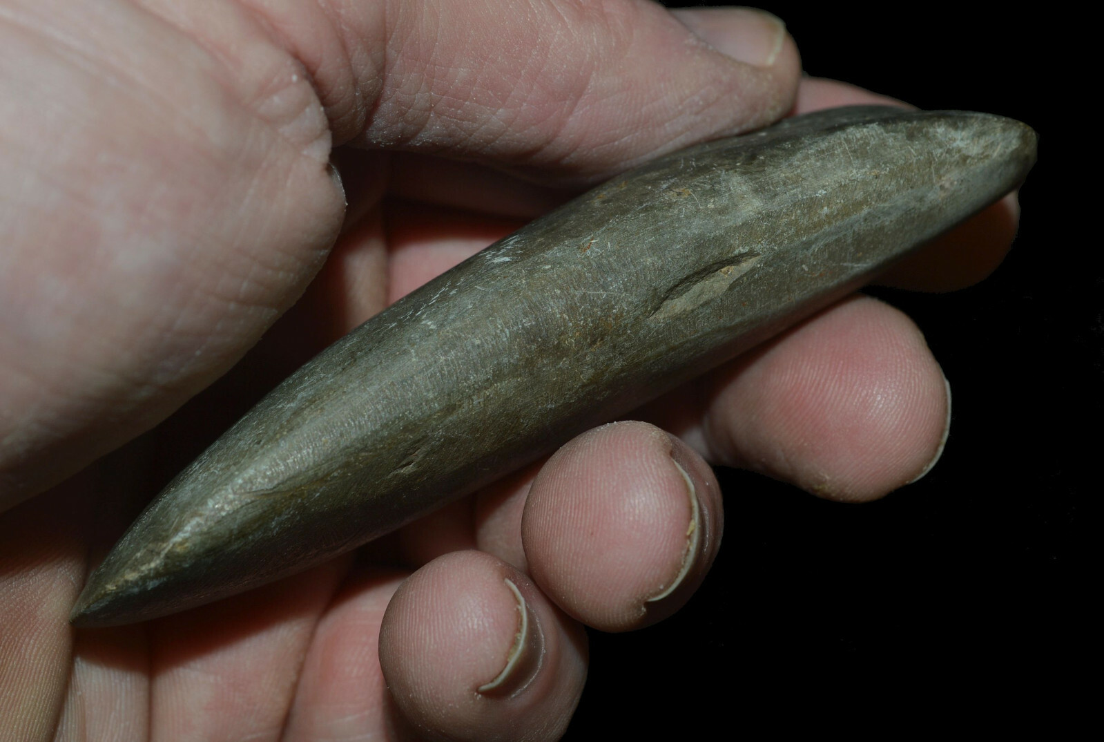 Celt Indiana Authentic Indian Artifact Tool Hardstone Collectible Relic