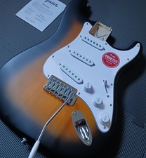 Loaded Strat Body for sale | eBay