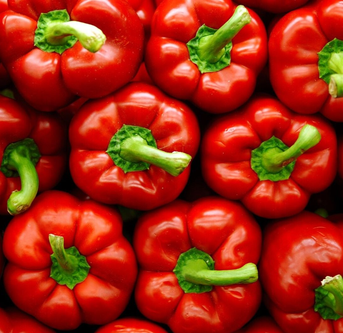 BIG RED BELL PEPPER SEEDS 50+ SWEET vegetable GARDEN plants CAPSICUM ...