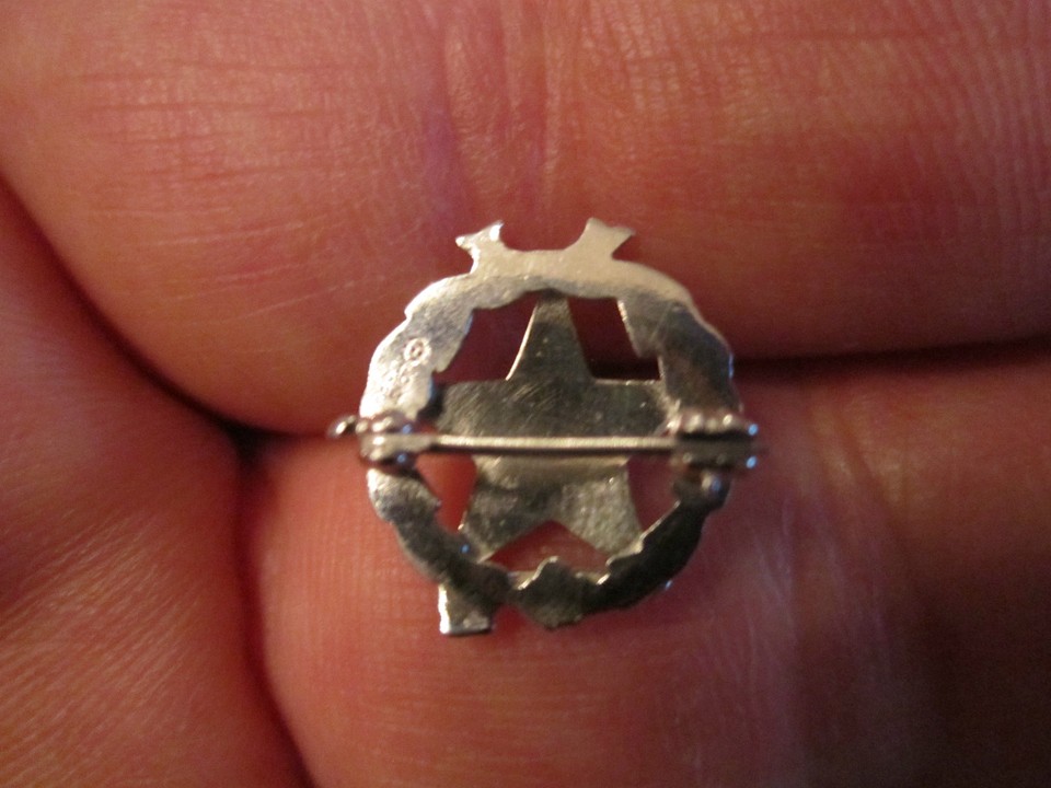10K TOP EASTERN STAR MASONIC LAPEL PIN - 5/8" LONG - TUB BBA-2 | eBay