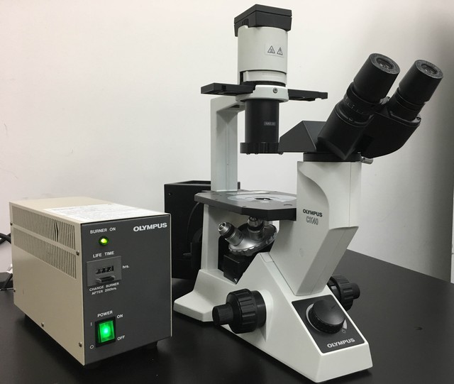 Olympus Ck40-f100 Inverted Microscope With Dp10 Camera for sale online | eBay