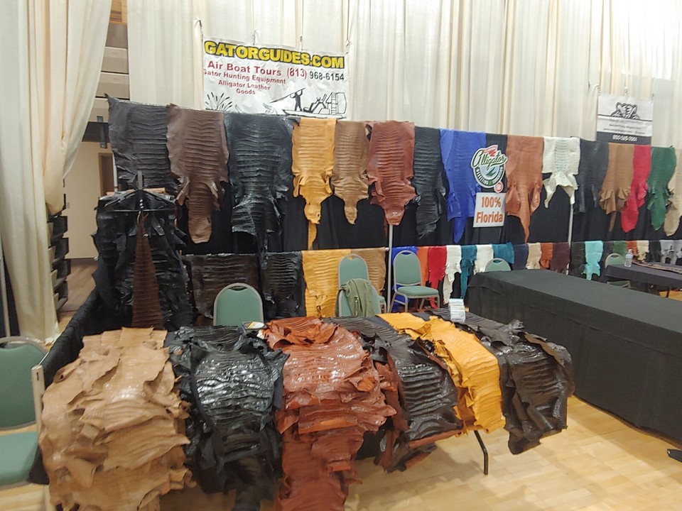 Genuine Wild American Alligator leather Swamp Skin Gator Hide RstBrn ...