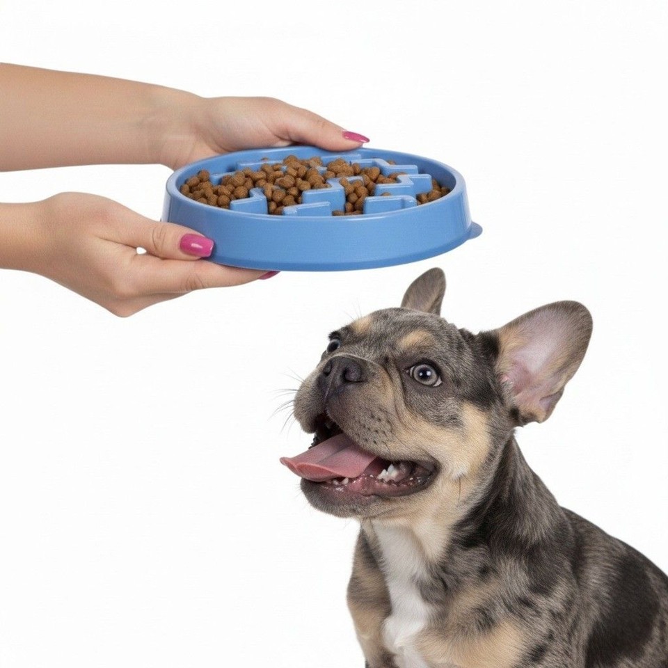 Outward Hound Slo Bowl MEDIUM Blue Slow Feeder Anti Bloat Dog French ...