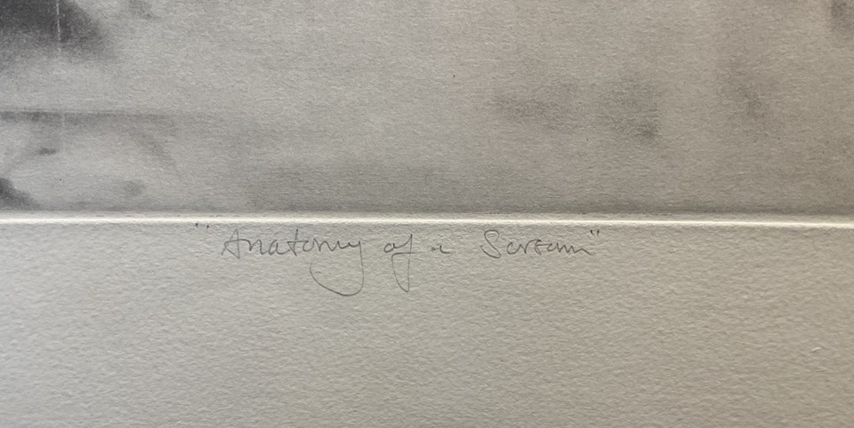 Unframed Signed Artists Proof Of Anatomy Of A Scream By Terry Wilson ...