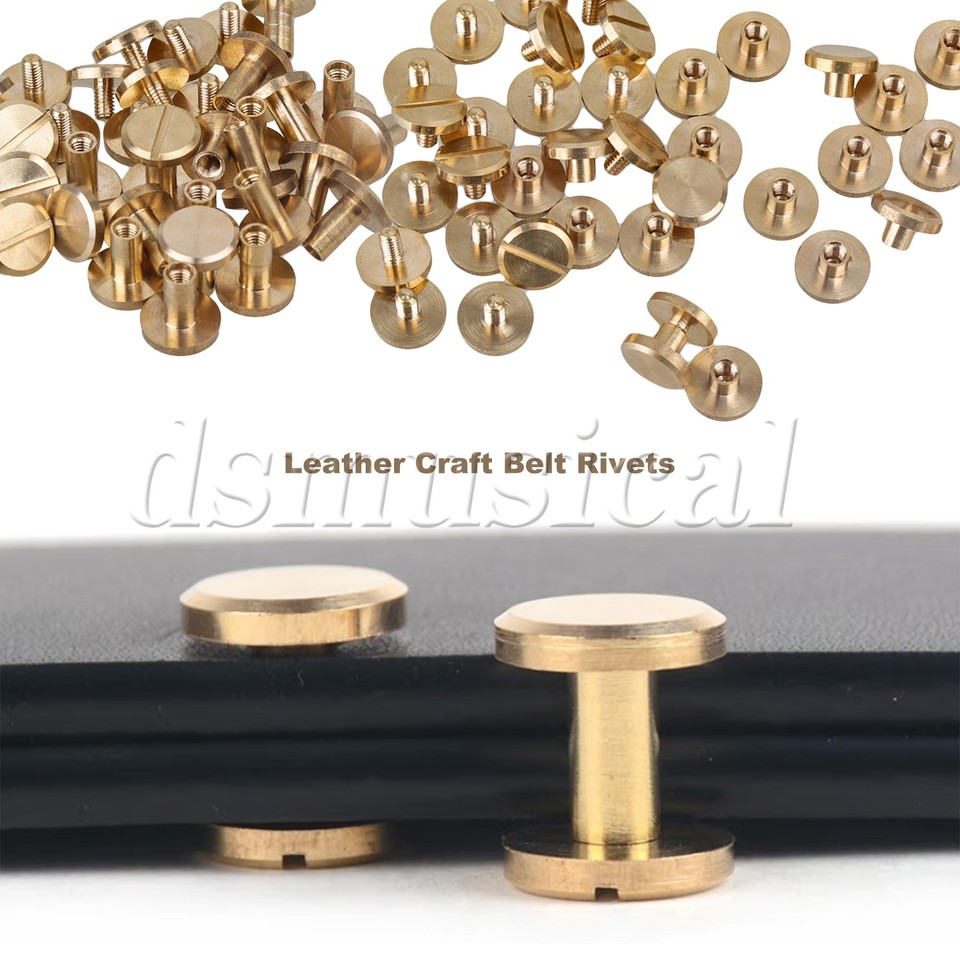 40pcs Brass Rivets Chicago Screws Slotted Flat for DIY Leather Tools ...