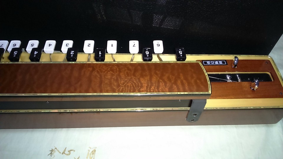 COMNICS Model #80 2-string Electric Taisho Koto (Taishogoto) + Hard ...