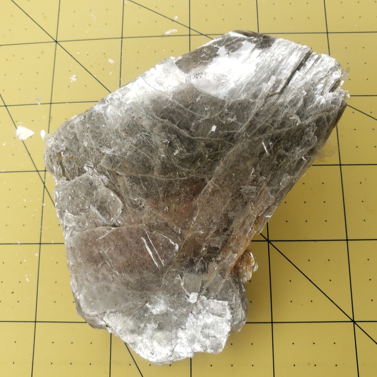 Muscovite Mica Schist Outdoor Geology Lab Tour: Mica Schist | Wake