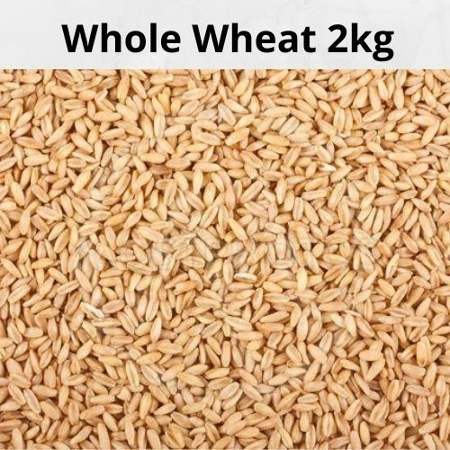 Whole wheat 2kg | Whole Wheat Grains 2Kg | High Quality | Free Postage ...