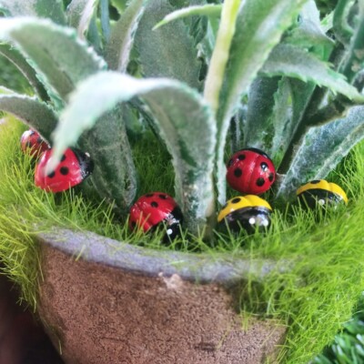 Ladybug Insects Animal 6 Pcs. Miniature Dollhouse Fairy Garden ...