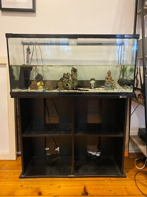 Aqua One 130 Liter Fish tank Kit With Stand | eBay